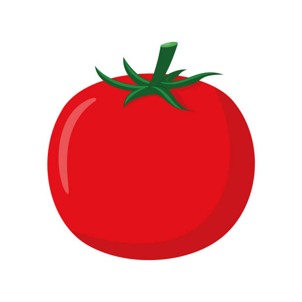 Tomato64